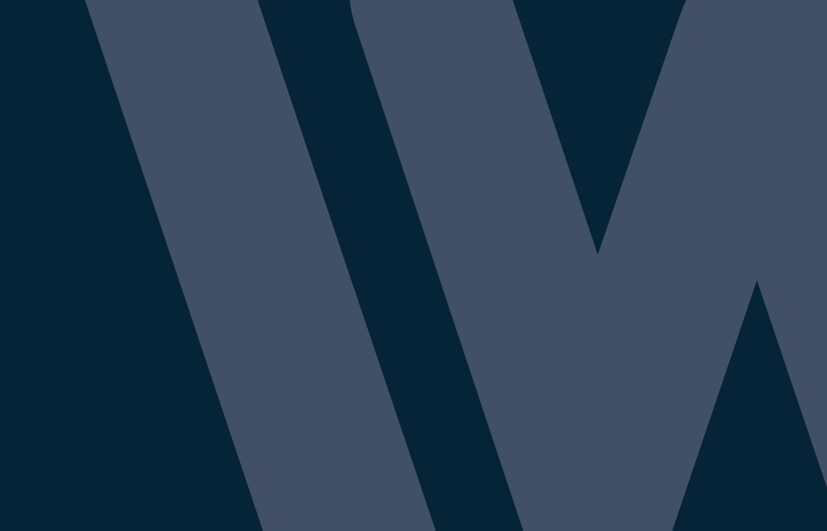 WinOrder Shop - Fernwartungs-Support für Vorgängerversion